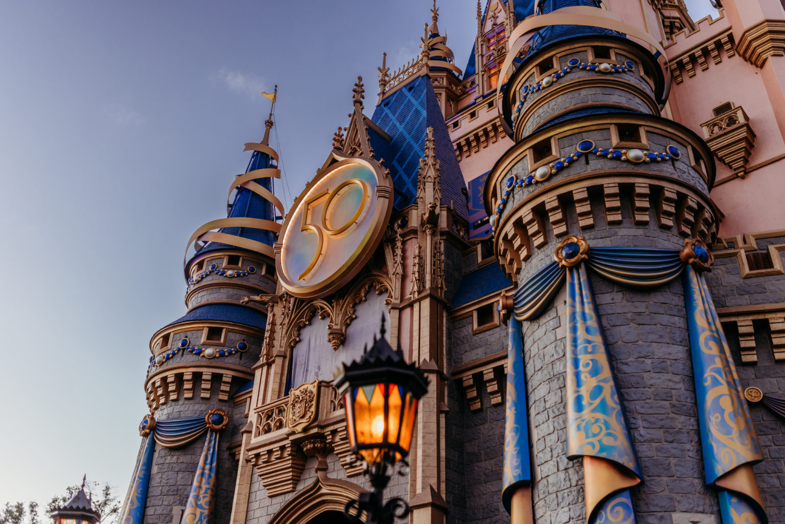 The Happiest Photos on Earth: Tips and Tricks for magical documentation ...